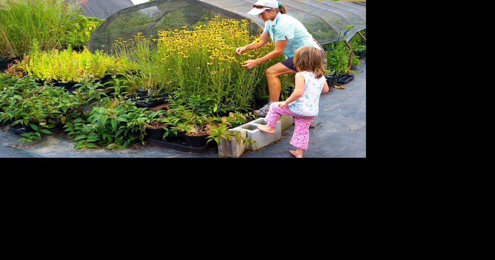 Eldon Farms becomes new home for Hill House Nursery | Agriculture | rappnews.com