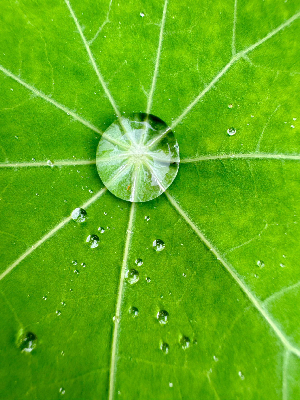 PEC announces 2024 photo contest winners | Environment | rappnews.com