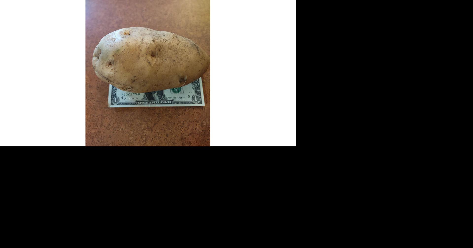 Tater to the editor | Photos | rappnews.com