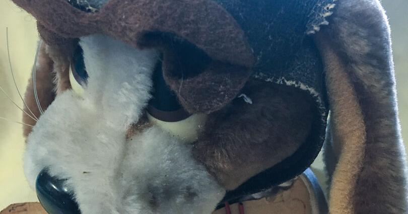 Letter: What’s the plan for broadband? | Letters to the Editor ...