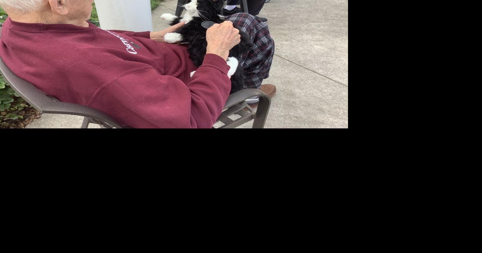 Friendly companions en route to Virginia veterans | Pets | rappnews.com