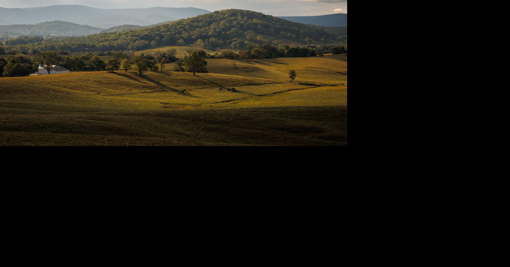 PEC announces 2024 photo contest winners | Environment | rappnews.com