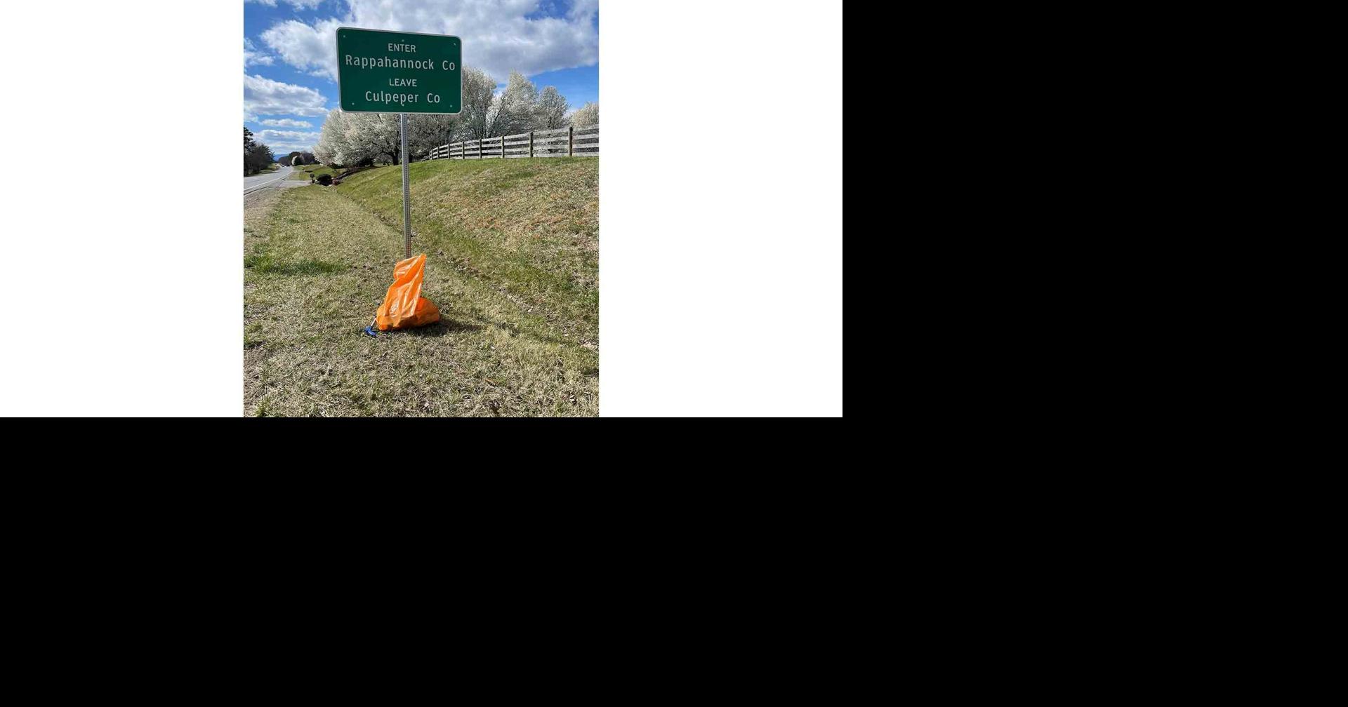 Washington column for March 31 | Washington Column | rappnews.com