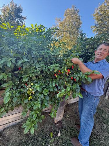 Panthers, farmer break Guinness World Record | Agriculture | rappnews.com