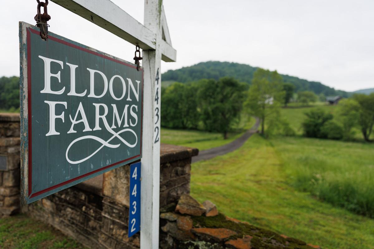 Students from other countries learn about conservation at Eldon Farms | Nature | rappnews.com