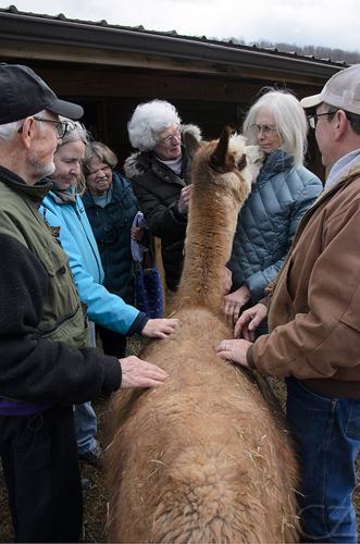 Sharon Kilpatrick: Champion of Rappahannock students, sports ...
