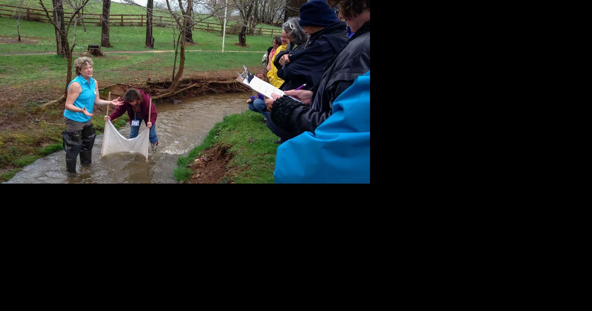 The Rapp for Nov. 12 | The Rapp | rappnews.com