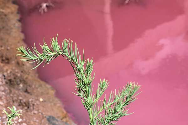 Pink water is discovered near Bottomless Lakes | Local News | rdrnews.com