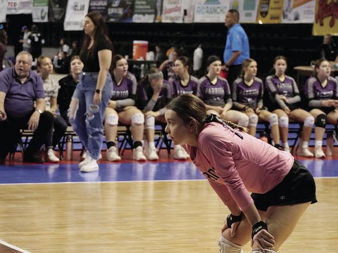 Selections announced for fall sports all-stars | Local Sports | rdrnews.com