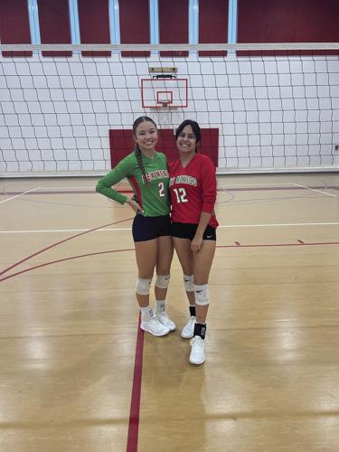 Selections announced for fall sports all-stars | Local Sports | rdrnews.com