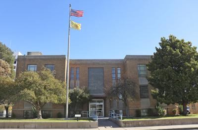 Council to consider mayor's nominees for key roles | Local News ...