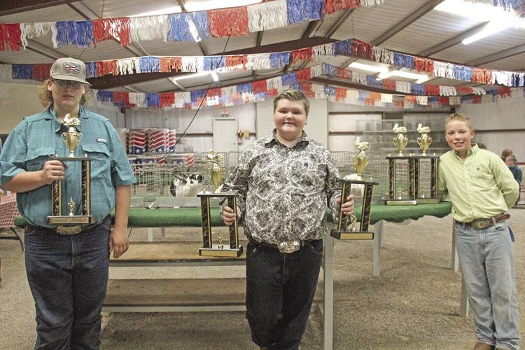 Rabbit show champions take fair's first trophies | Local News | rdrnews.com