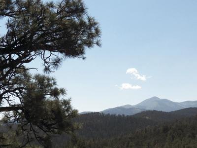 Ruidoso's Art and Wine Festival offers three days of events and ...