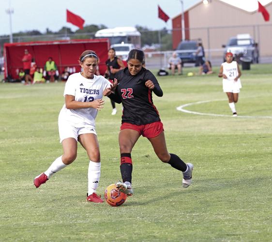 Roswell Lady Coyotes lose to Los Lunas | Local Sports | rdrnews.com