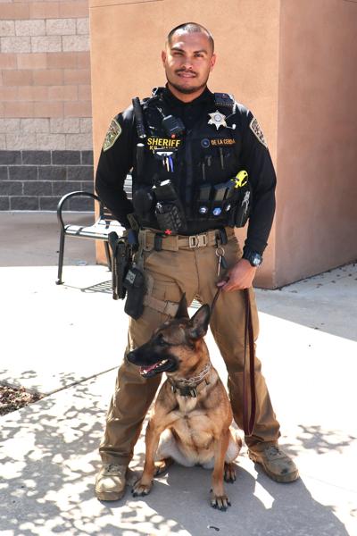 Sheriff's K-9 handlers to attend training conference | Local News ...