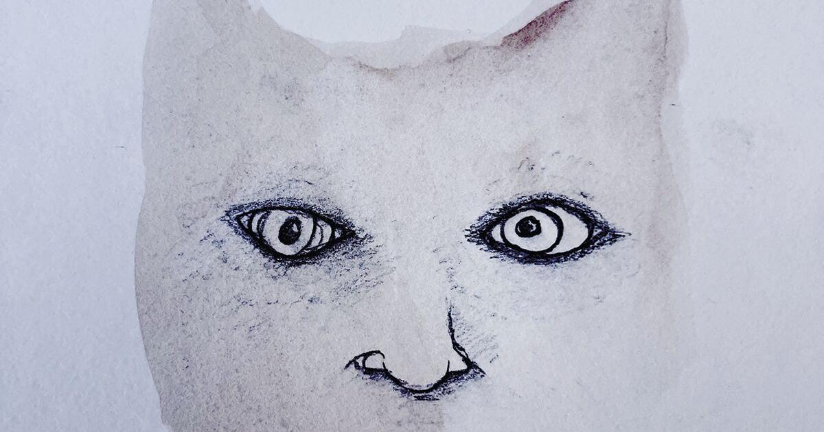 Cat portraits by Michael Beitz help real cats | Vision | rdrnews.com