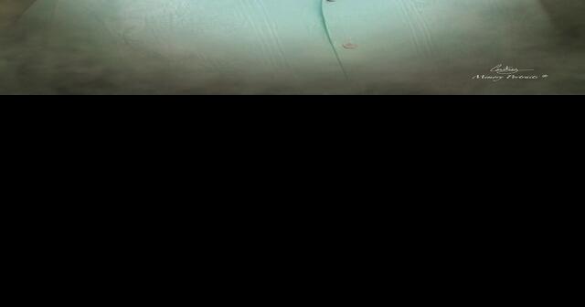 Pete Mitchell DeGroot | Obituaries | rdrnews.com