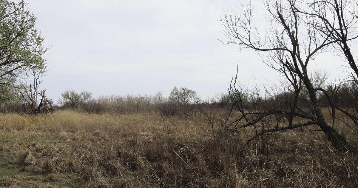 George Wratten – friend of the Apaches — Part 22 | Vision | rdrnews.com