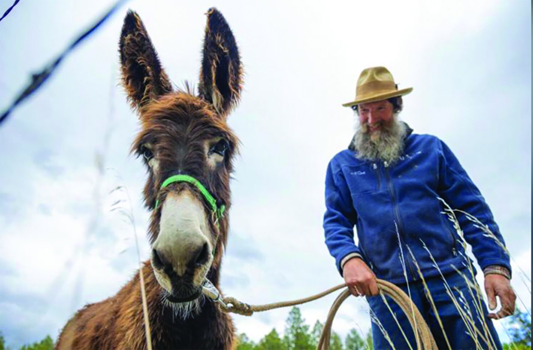 Missouri to Taos at a donkey’s pace | | rdrnews.com