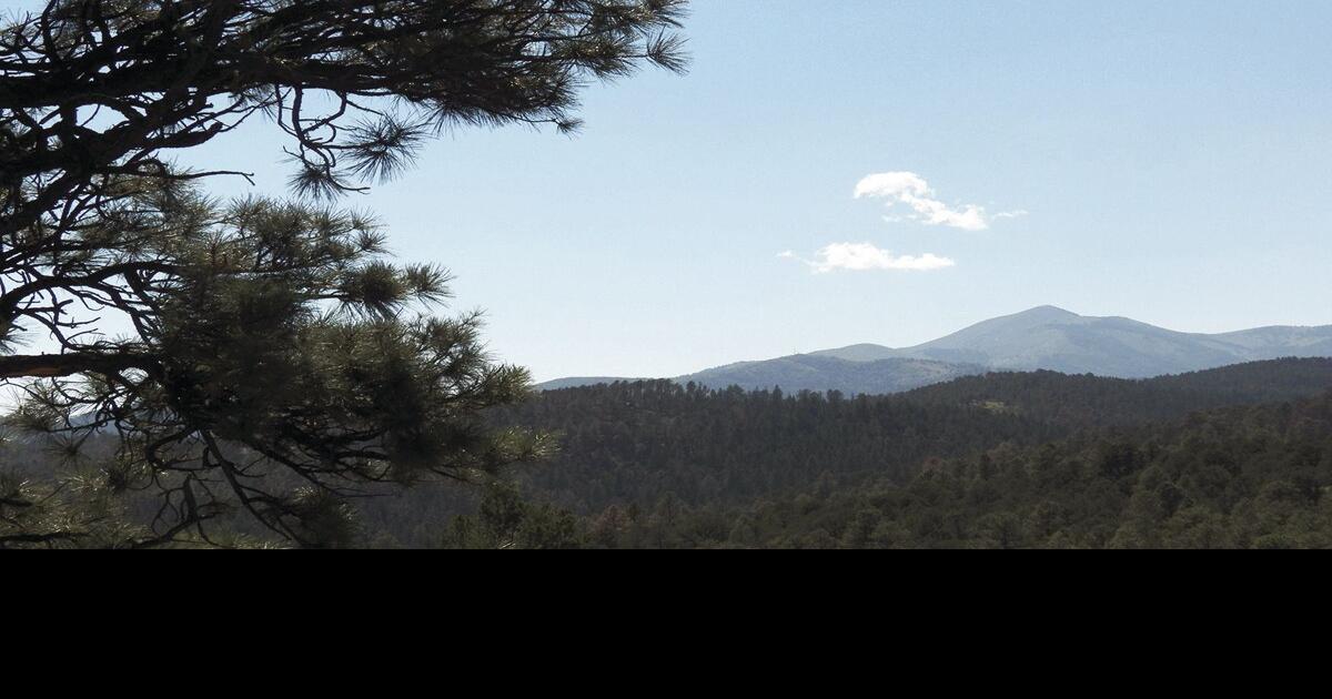 Free "End of Summer Bash" | Vision | rdrnews.com