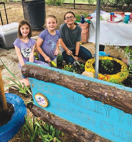 Pecos Valley Garden Club spruces up zoo’s bird sanctuary | Local News ...