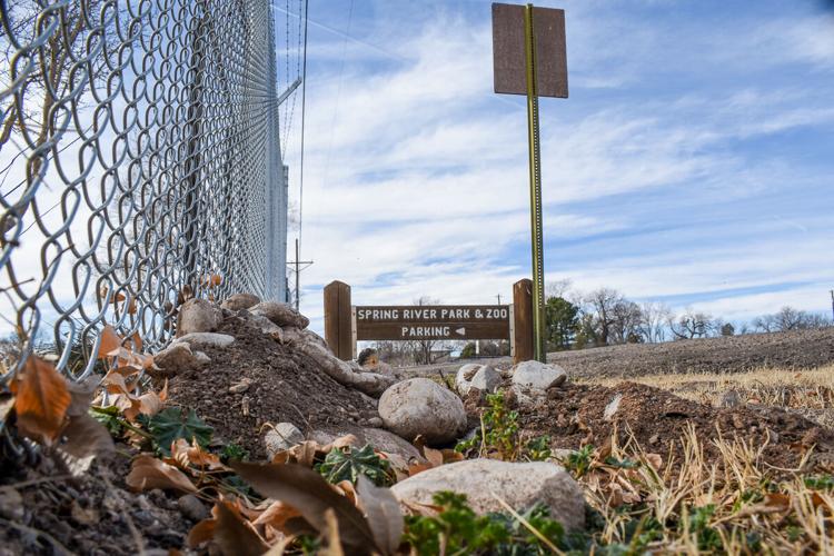 Four animals at Spring River Zoo killed by dogs | Local News | rdrnews.com