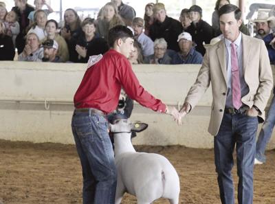 Las Cruces youth takes top prizes in lamb show | Local News | rdrnews.com