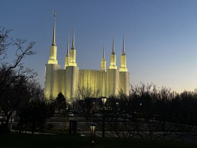 When angels lie | Columnists | rdrnews.com