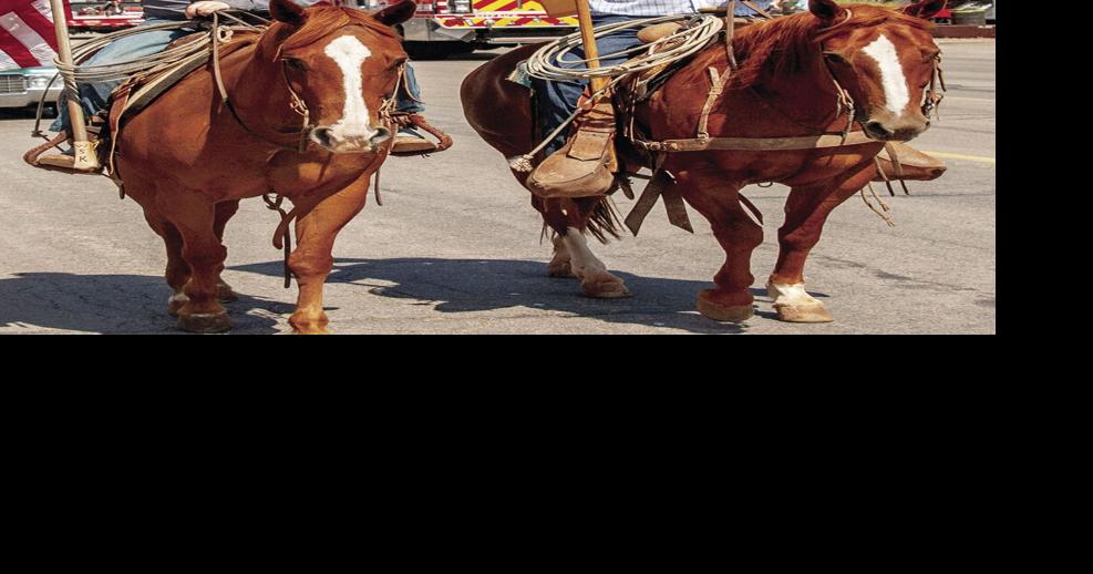 Old Fort Days return to Fort Sumner | Vision | rdrnews.com