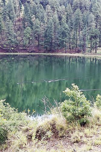 Historical Anecdotes | Vision | rdrnews.com