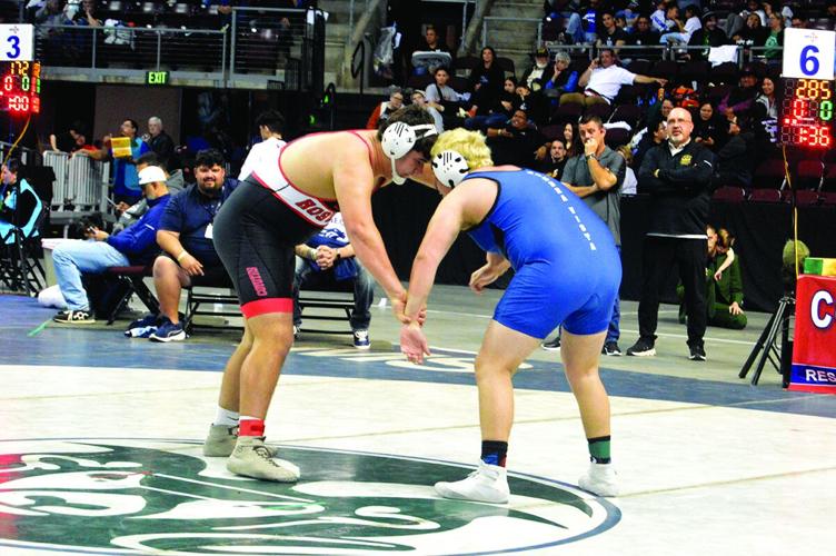 Local wrestlers compete at state championship | Local Sports | rdrnews.com