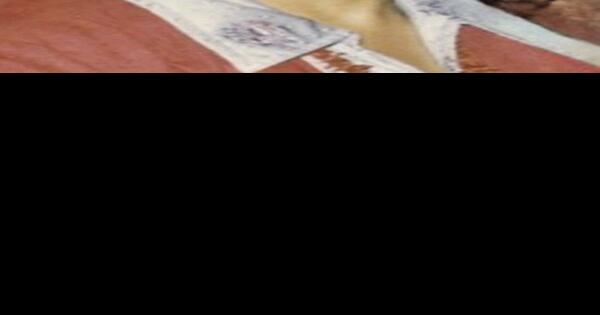 Rachel Contreras's Instagram, Twitter & Facebook on IDCrawl