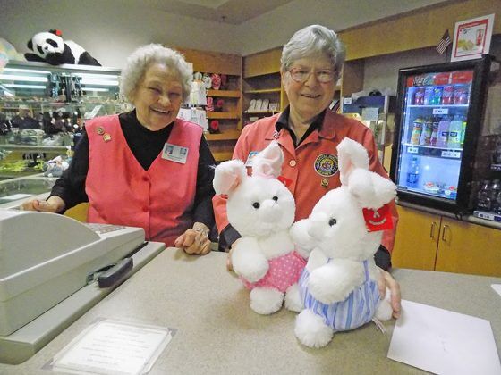 Volunteers help make hospital viable | Vision | rdrnews.com