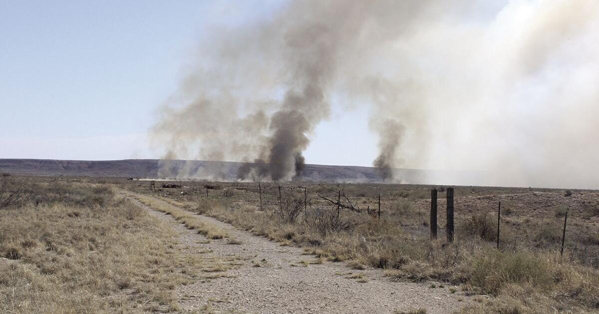 Picturing the day: Prescribed burn | Local News | rdrnews.com