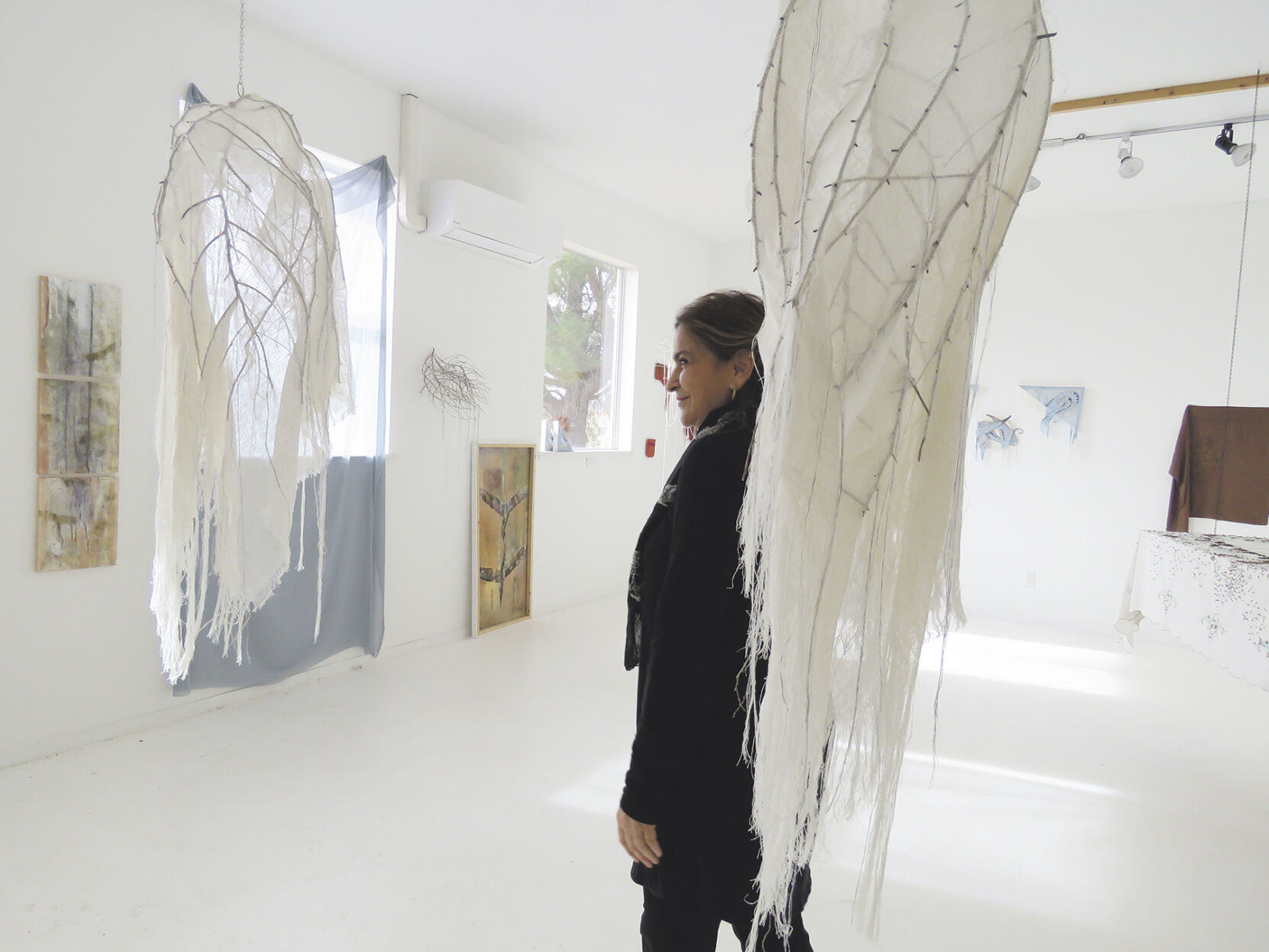 Community Calendar — RAiR exhibit 'Babylon 26' by Farnaz Shadravan ...