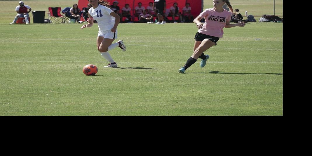 Girls soccer All-District and All-State selections released | Local ...