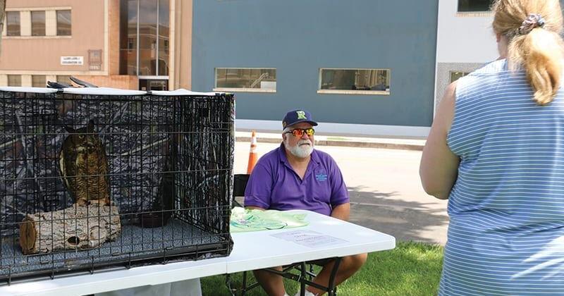 Wildlife on display during AlienFest activities downtown | Local News ...