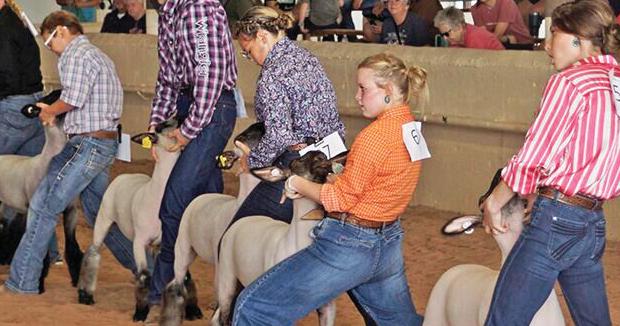 Community Calendar — Chaves County 4-H and FFA Fair kicks off | Vision ...