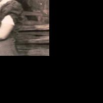 Ms. Frances Almetta Cagle Gibson | Obituaries | readtheleader.com