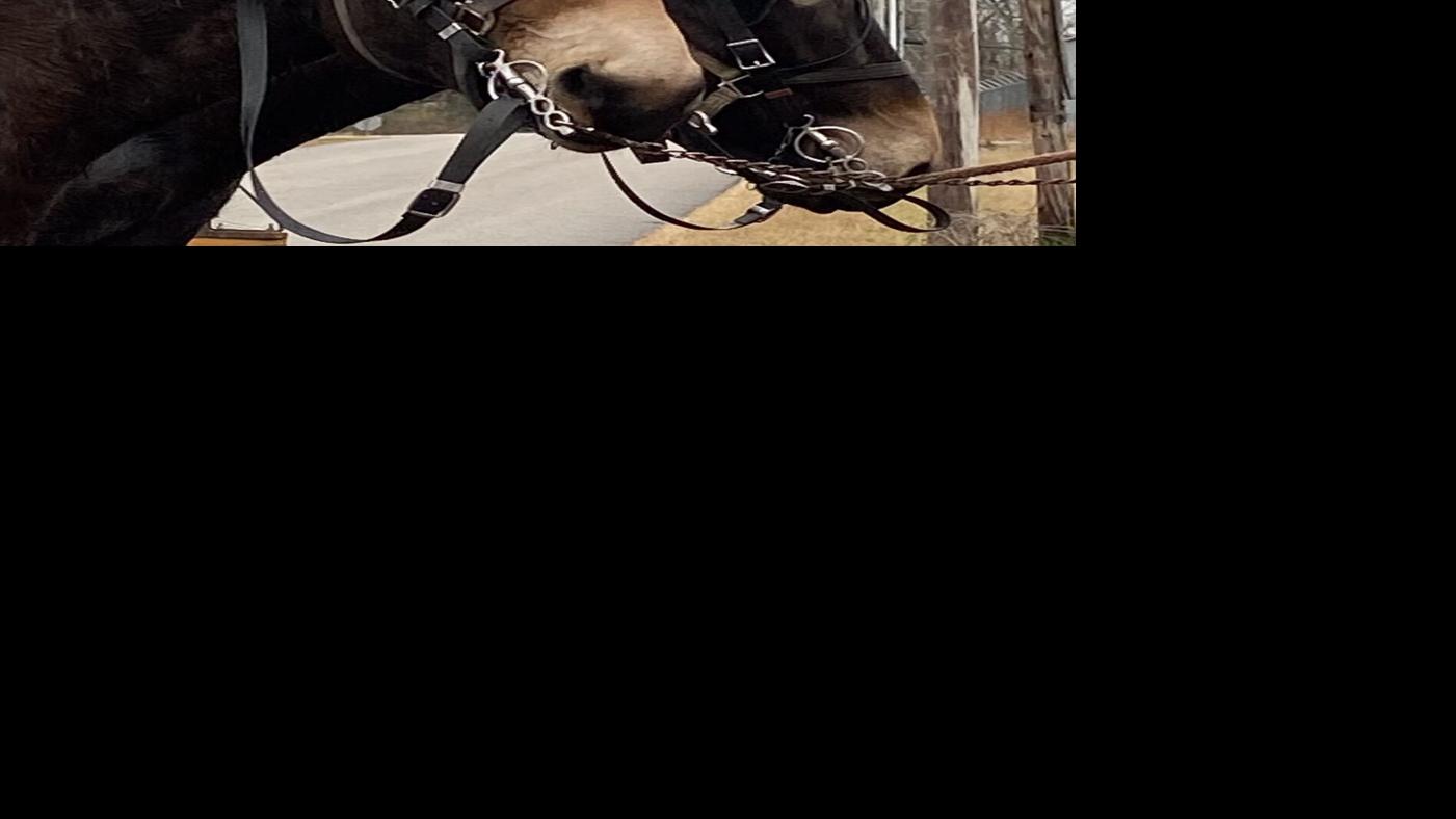 readtheleader.com | The newspaper for and about Decatur County