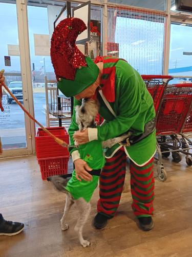 Pictures with Santa Paws! | News | readtheleader.com