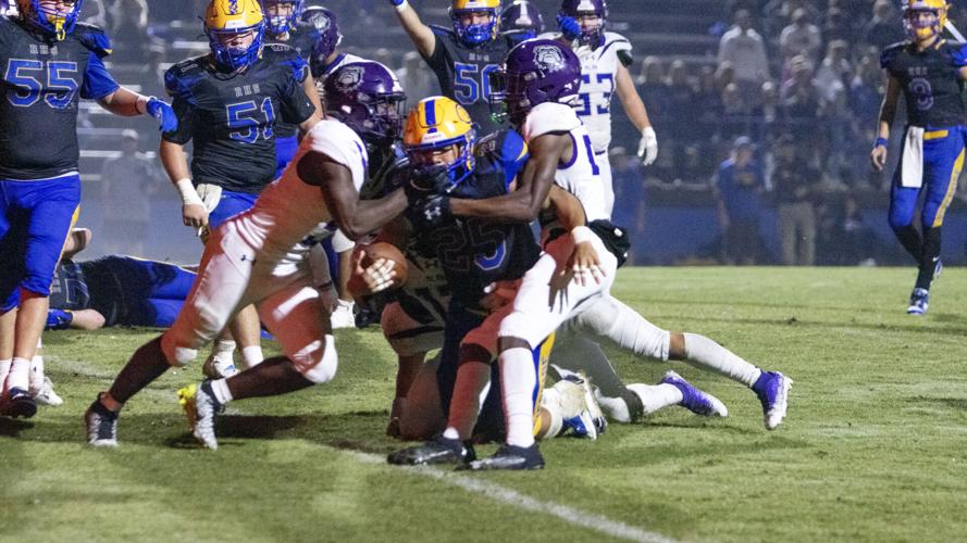 Panthers pound Dawgs and capture home playoff game | Sports ...