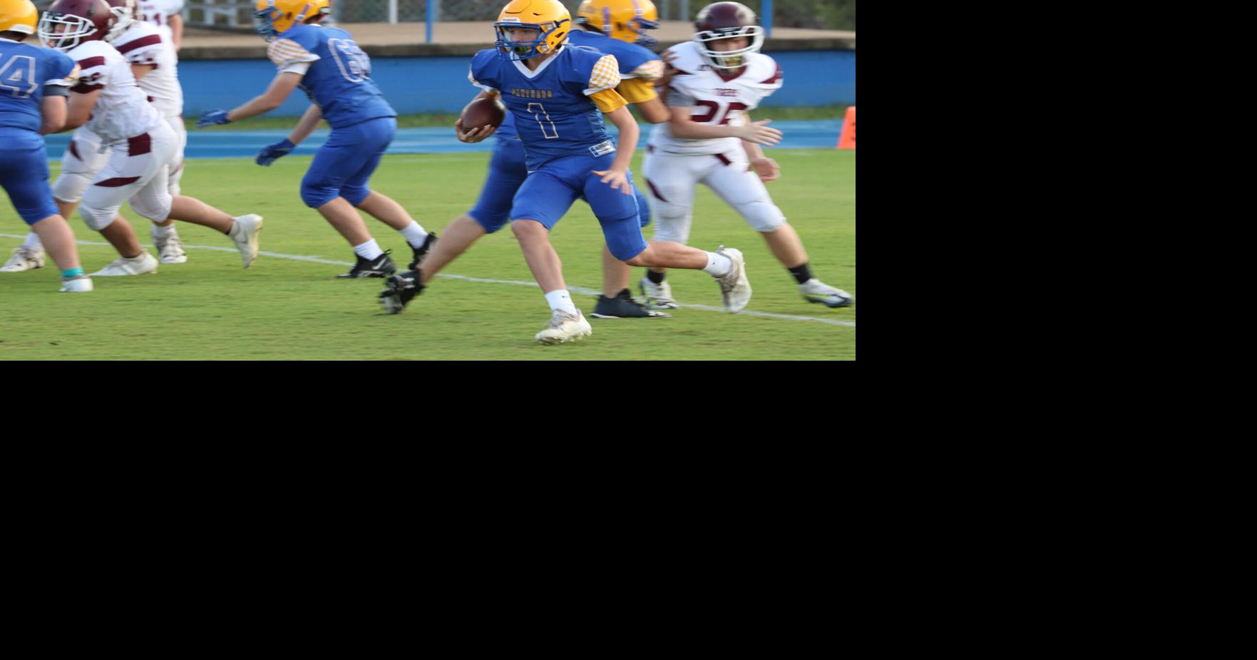 DCMS wins on homecoming defeating Hardin Co. 22-8 | Sports ...