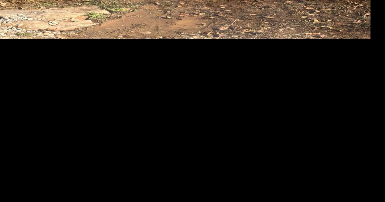 Trustee Brigade aids in structure fire | News | readtheleader.com