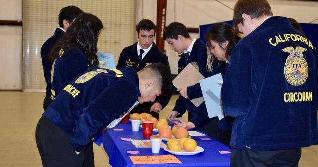 Bearing Fruit: Students take lessons learned from Citrus Judging ...