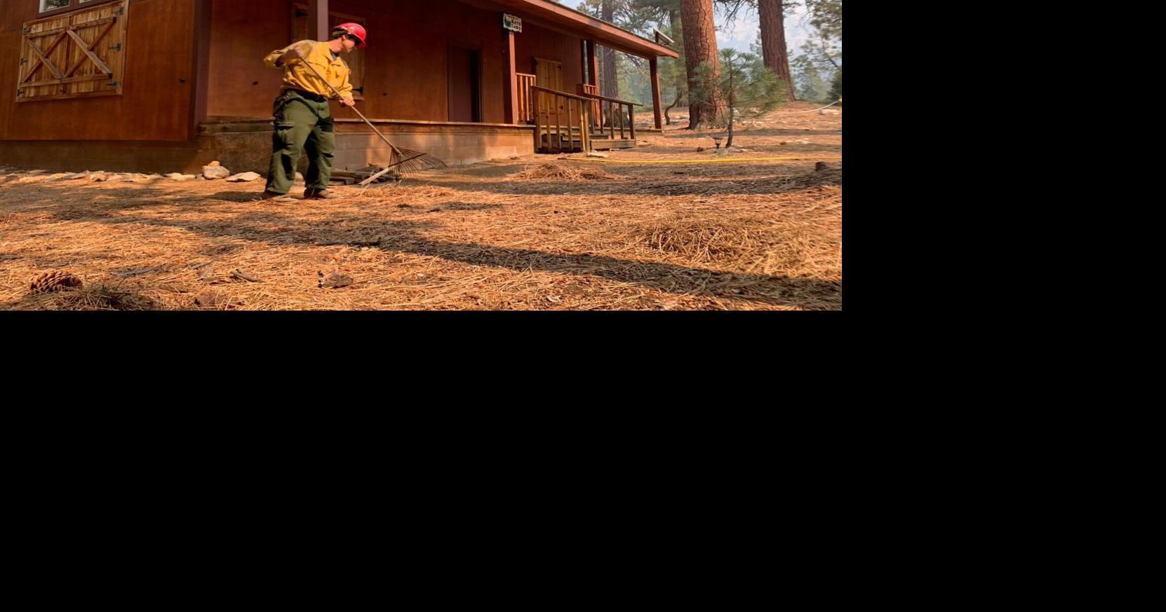 SQF Complex containment up to 61 percent: Sequoia National Park opens ...