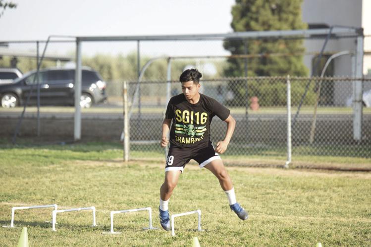 Daniel Ruiz: The first of his kind | Sports | recorderonline.com