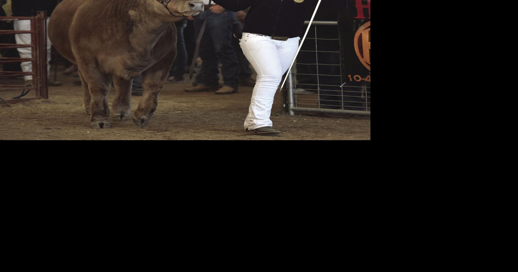 Porterville Fair: Grand champions crowned | News | recorderonline.com