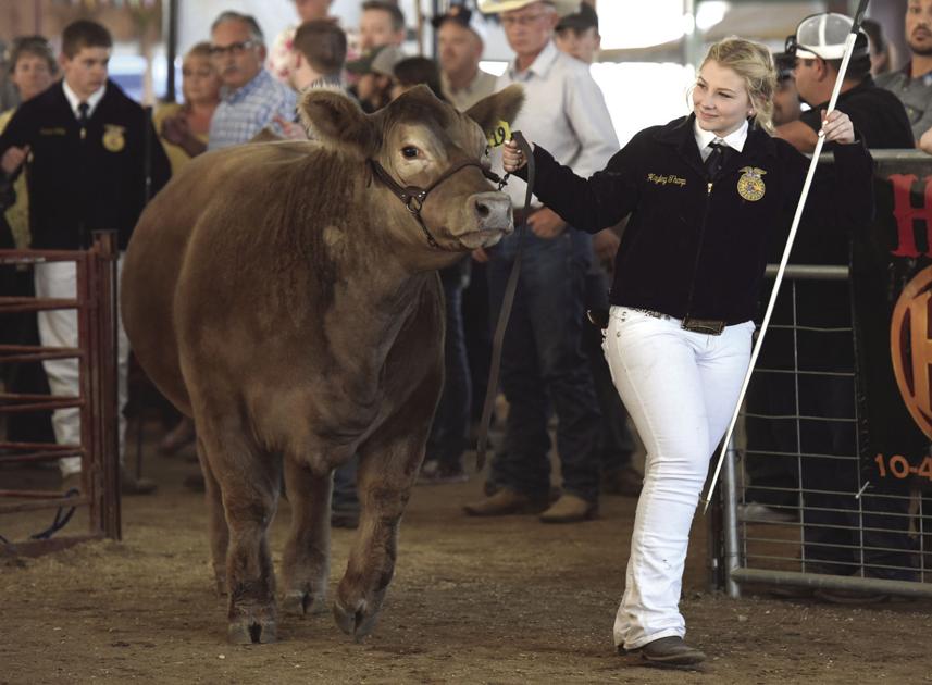 Porterville Fair: Grand champions crowned | News | recorderonline.com
