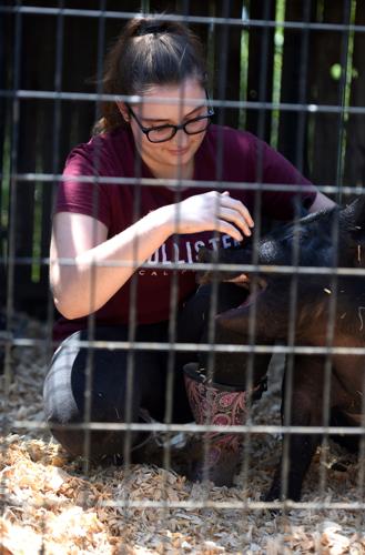 All in the family: The Avila, Miller and Cortez families work together ...